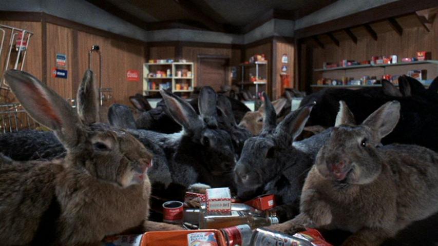 NIGHT OF THE LEPUS (1972) Reviews of giant rabbits horror - MOVIES and ...