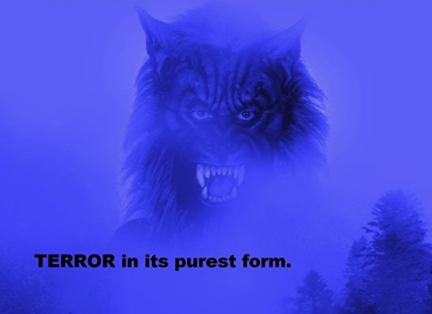 WEREWOLF MASSACRE AT HELL'S GATE (2015) Reviews and overview - MOVIES ...