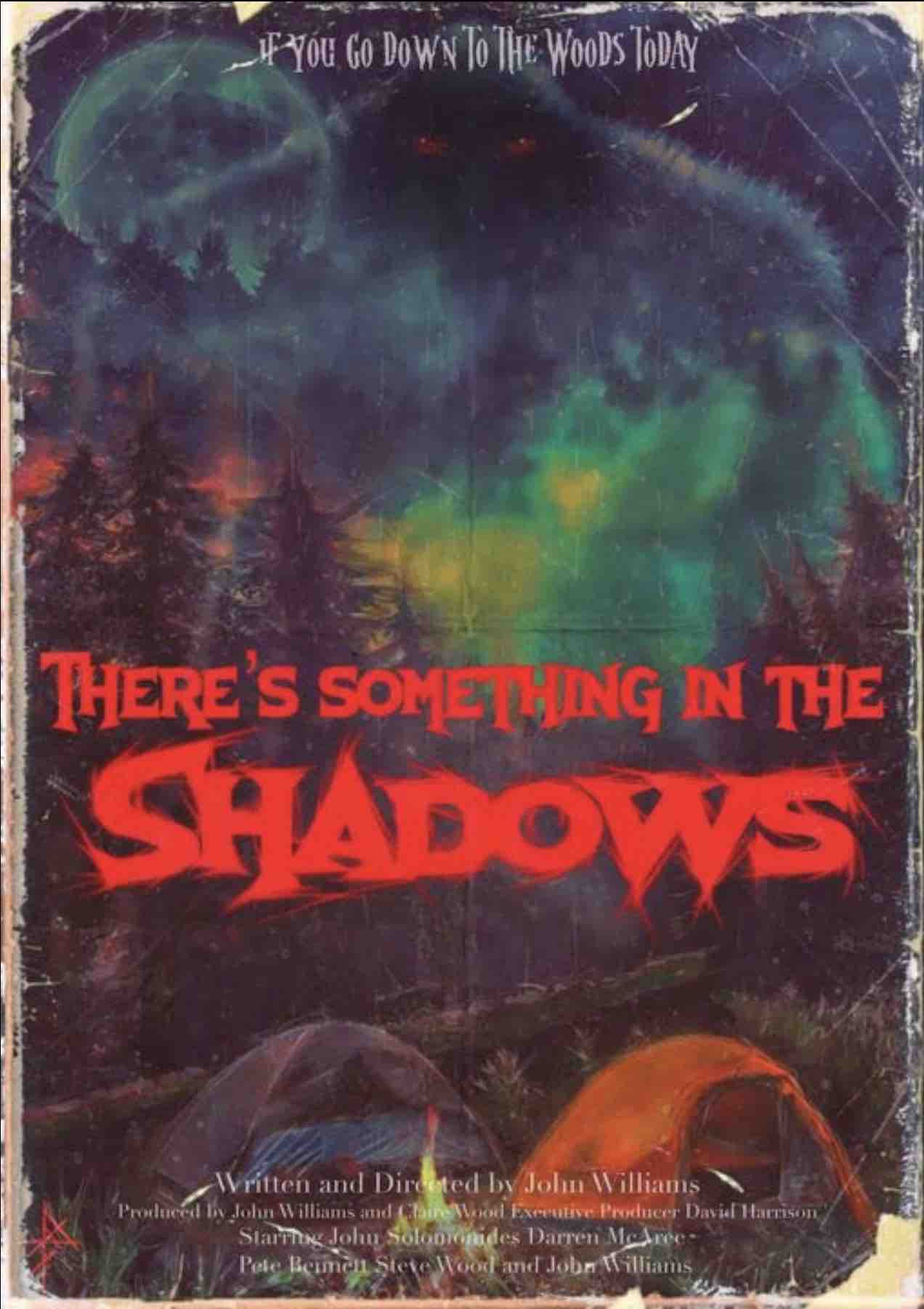 THERE'S SOMETHING IN THE SHADOWS (2021) Reviews and overview of found ...