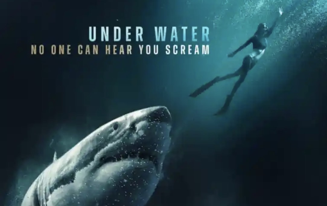 Deep Water Shark Film