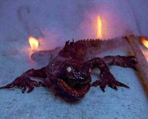 Aberration 1997 Blu Ray